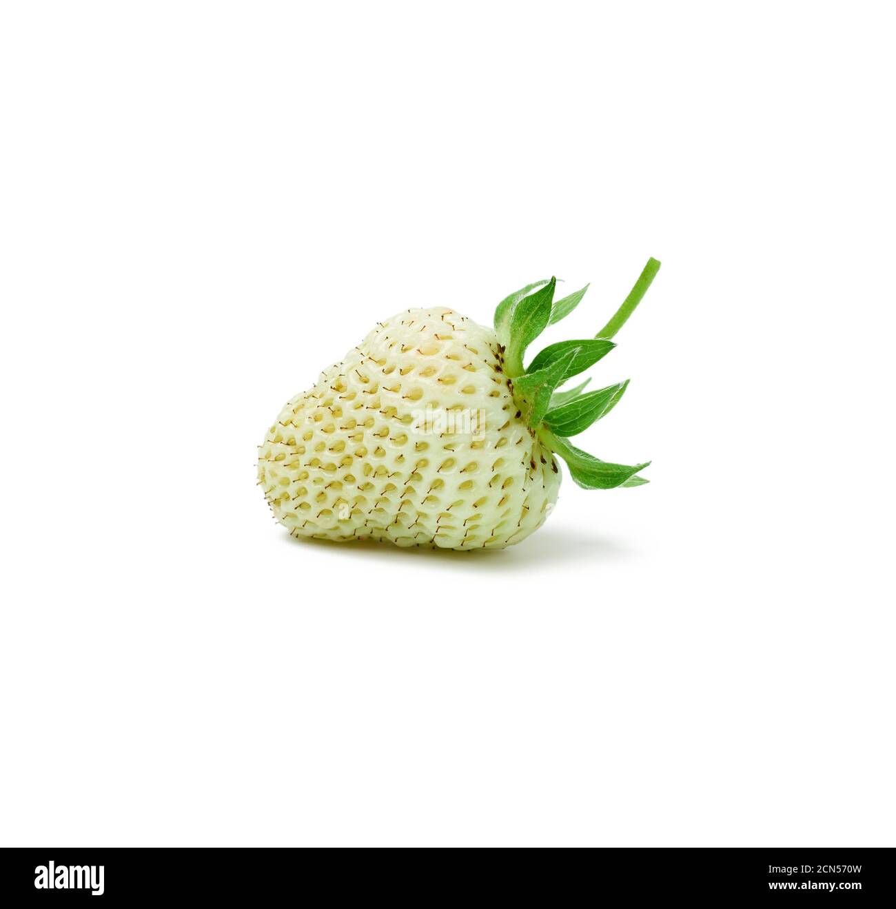 Unripe strawberry Cut Out Stock Images & Pictures - Alamy