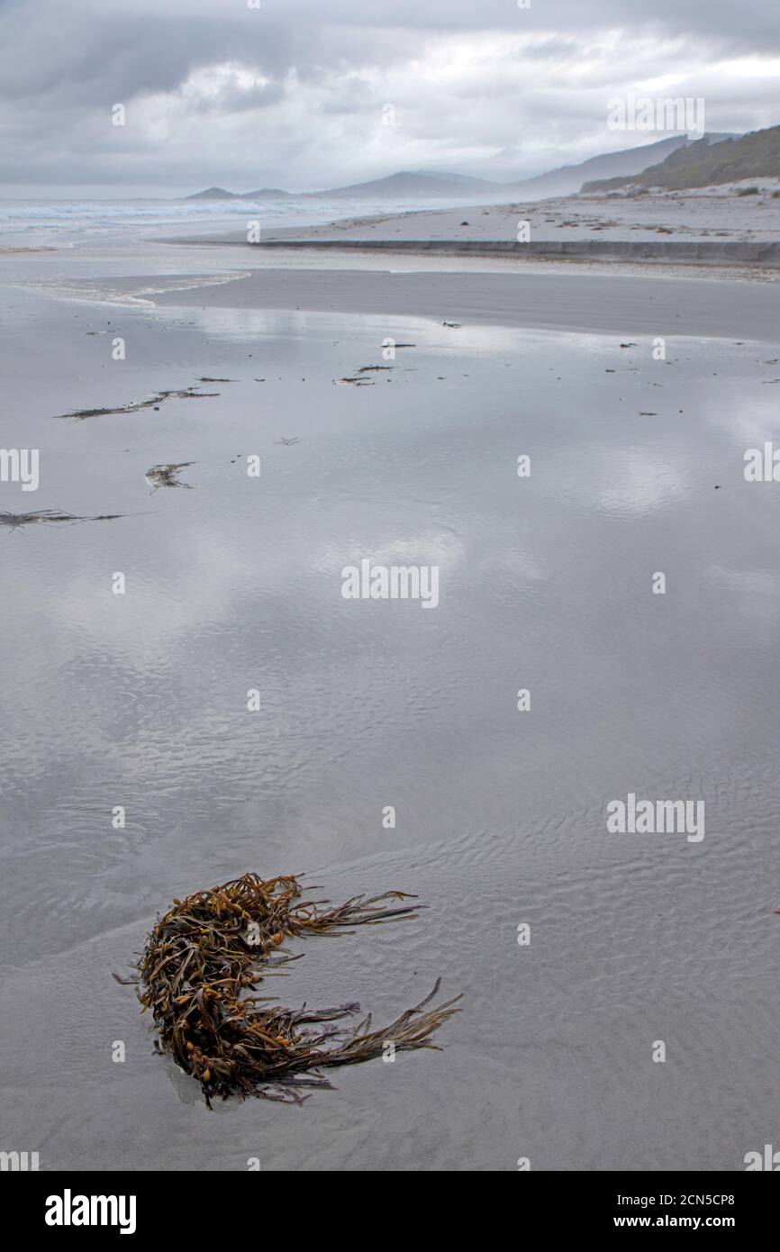 Denison beach hi-res stock photography and images - Alamy