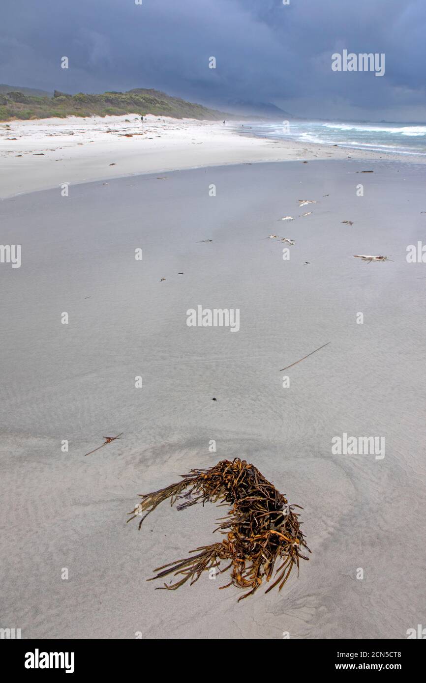 Denison Beach High Resolution Stock Photography and Images - Alamy
