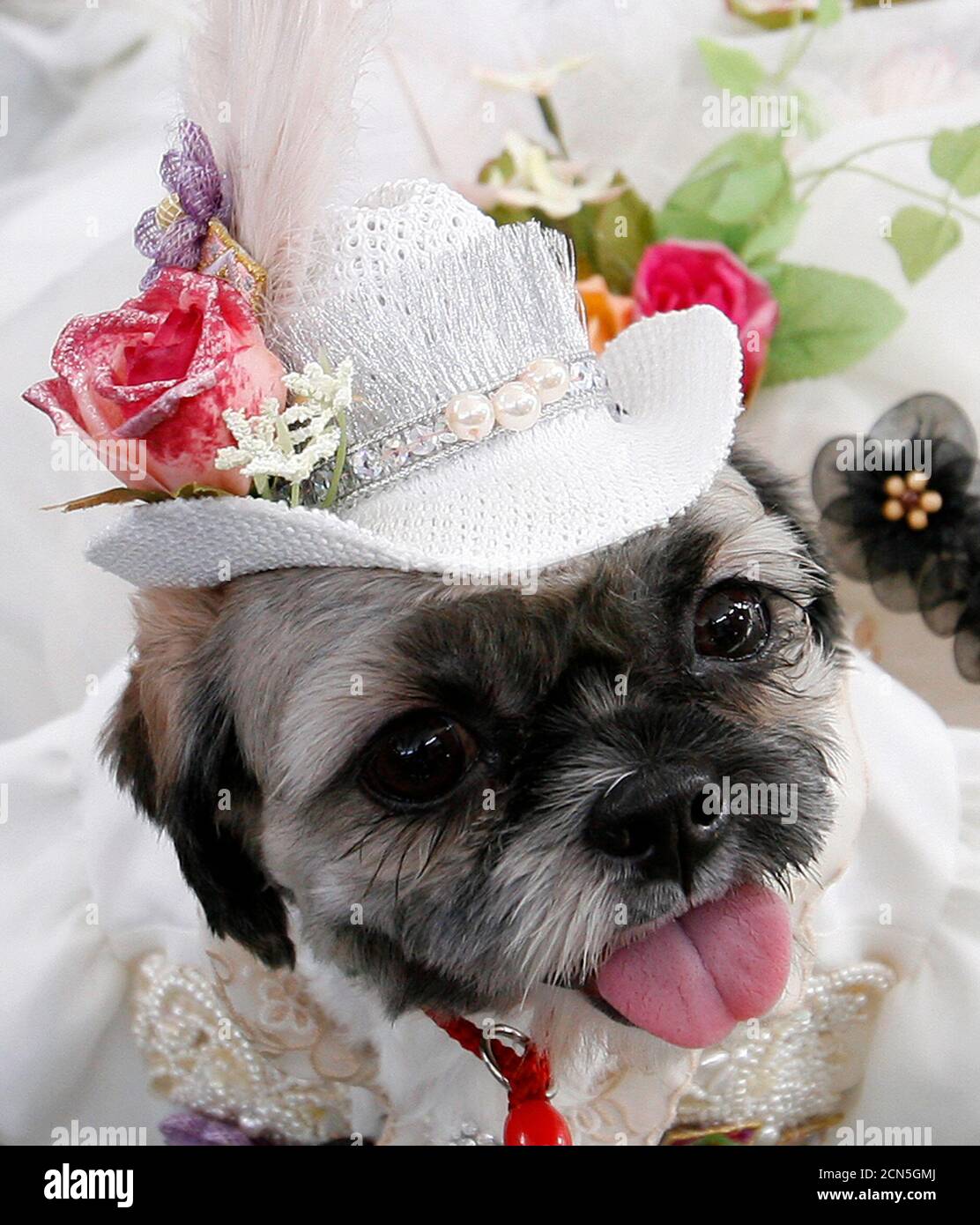 Traditional Filipino Dress High Resolution Stock Photography and Images ...