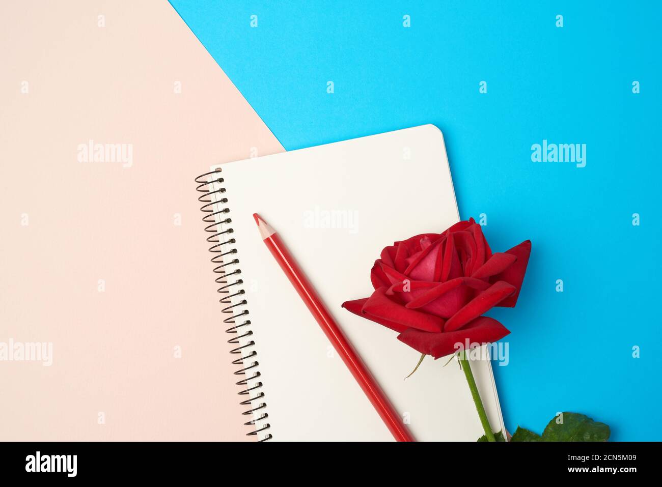 open notebook with white sheets and red rose on a blue beige background ...