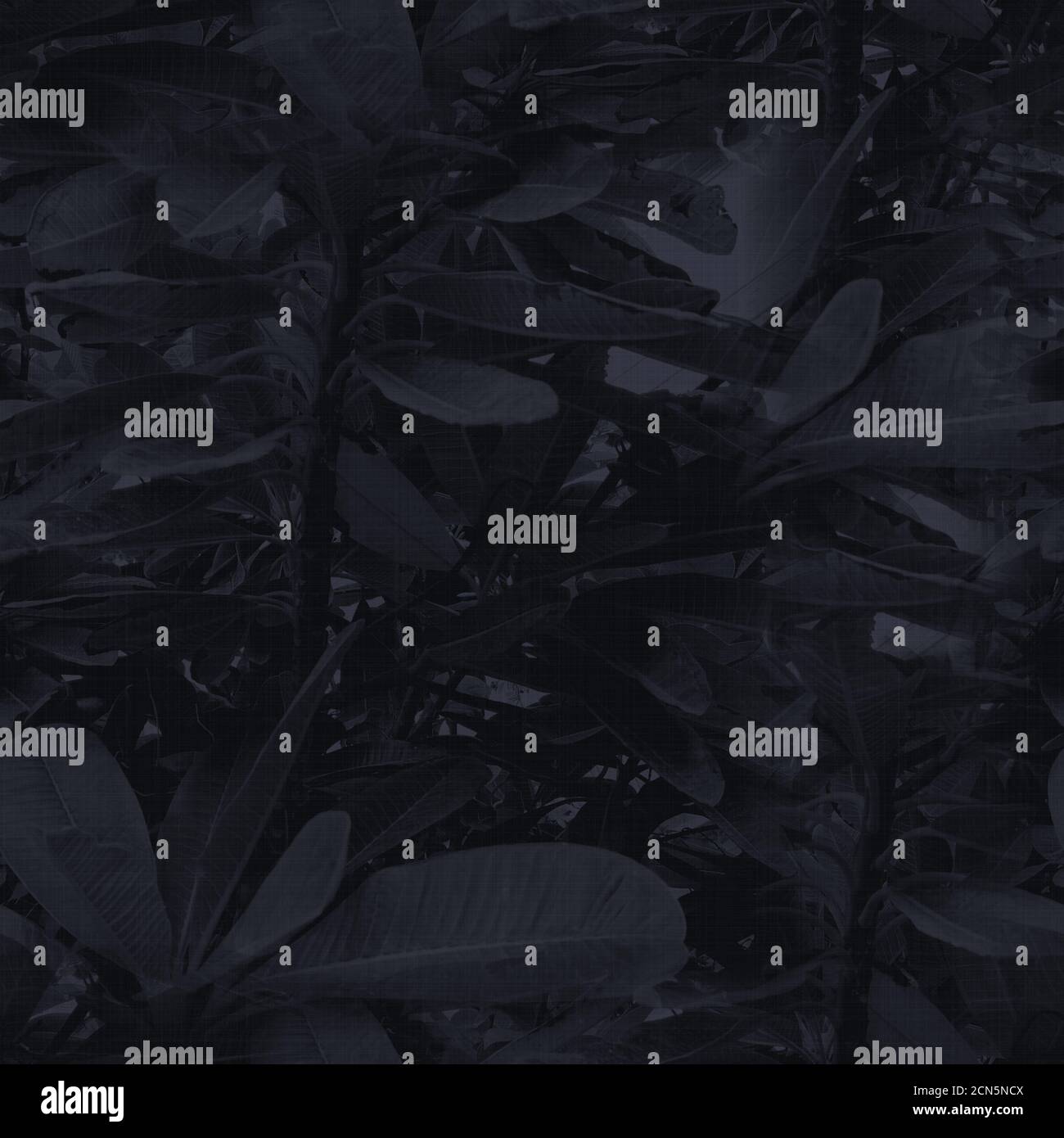 Dark moody almost black leaf seamless pattern Stock Photo - Alamy
