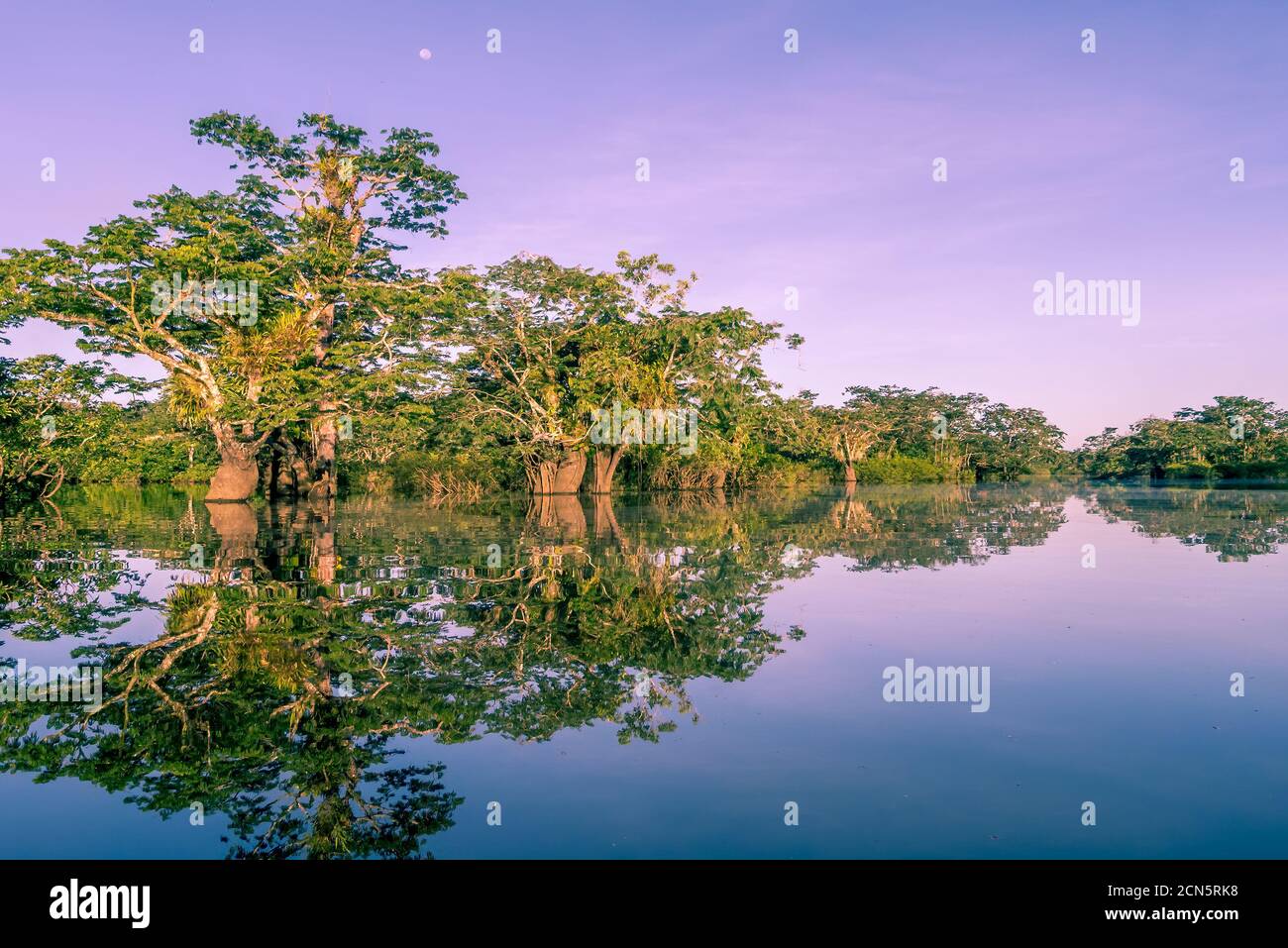 Rainforest landscape river hi-res stock photography and images - Alamy