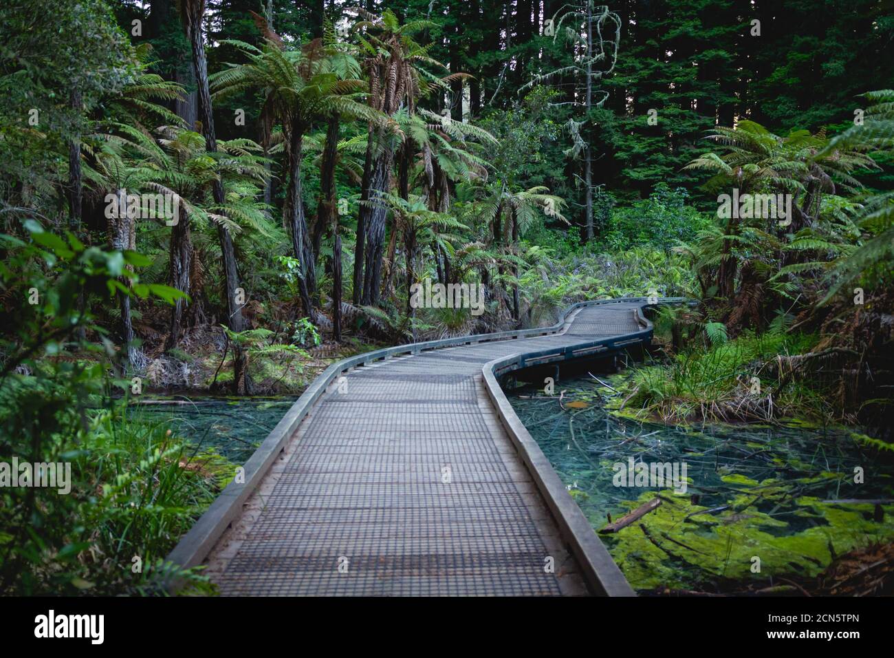 Thermal pond hi-res stock photography and images - Alamy