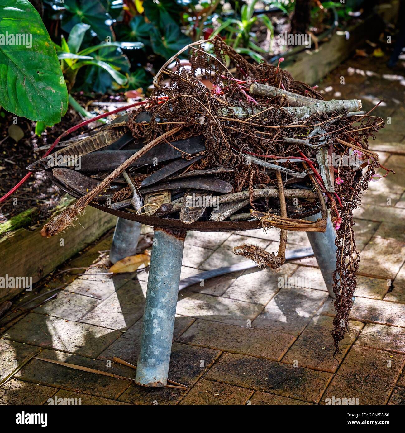 A collection of old seed pods and dead ferns covering a small metal ...