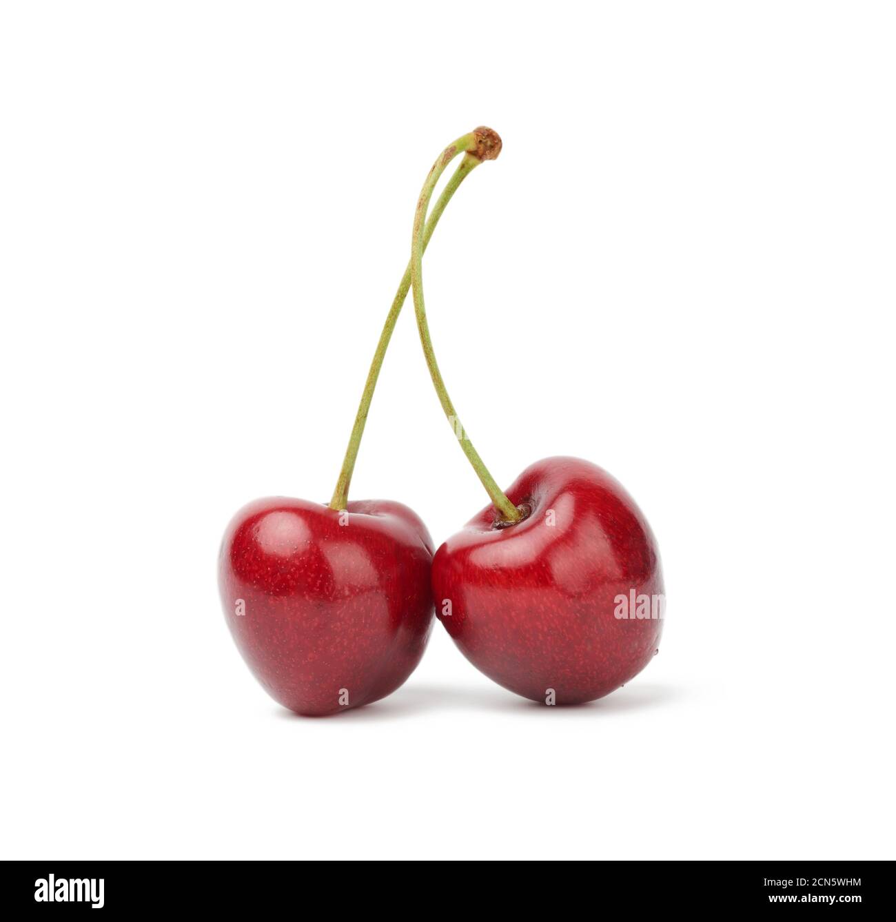 two red connected sweet cherries isolated on a white background Stock ...
