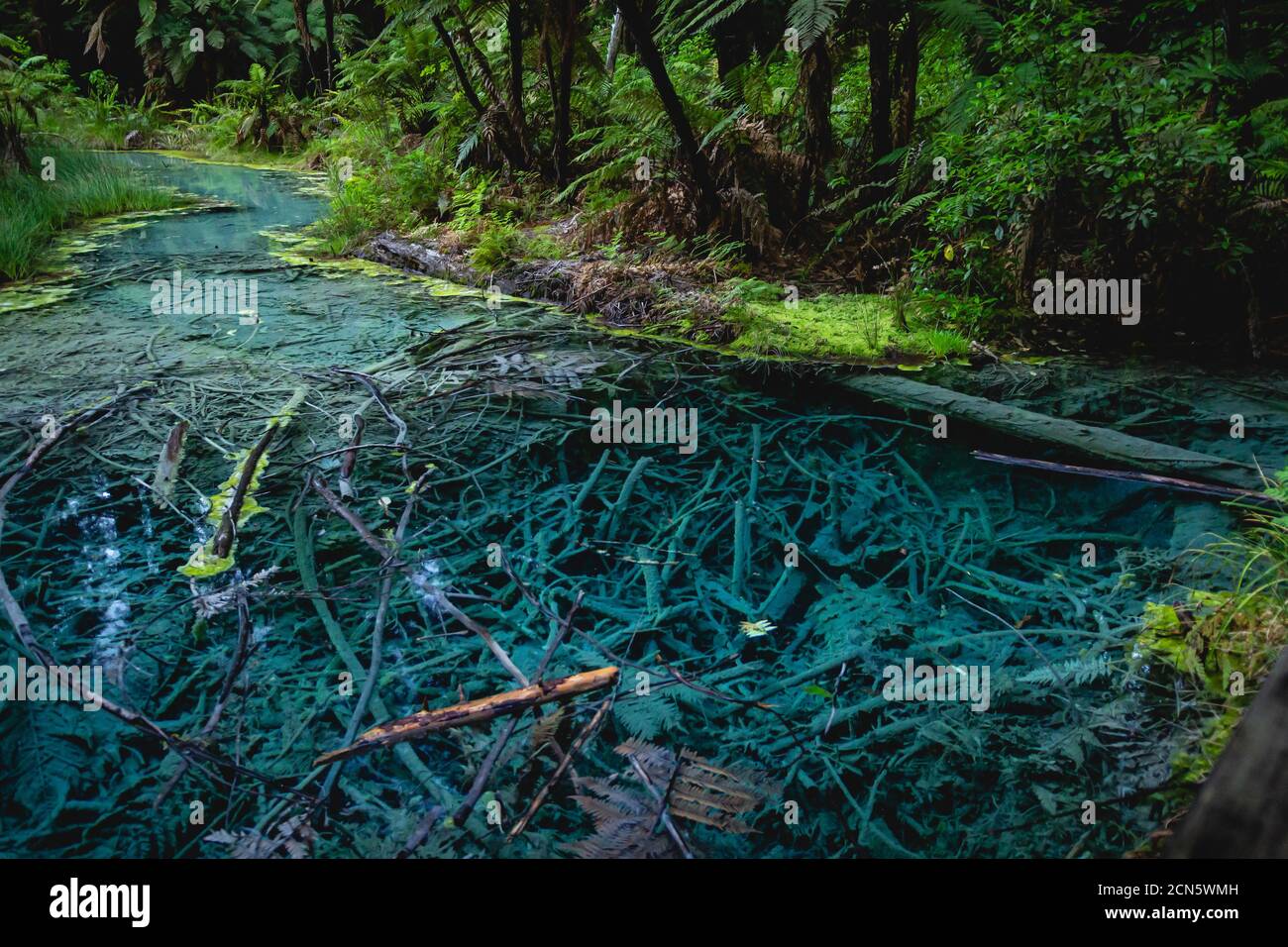 Vibrant blue water in a thermal pond in New Zealand Stock Photo - Alamy