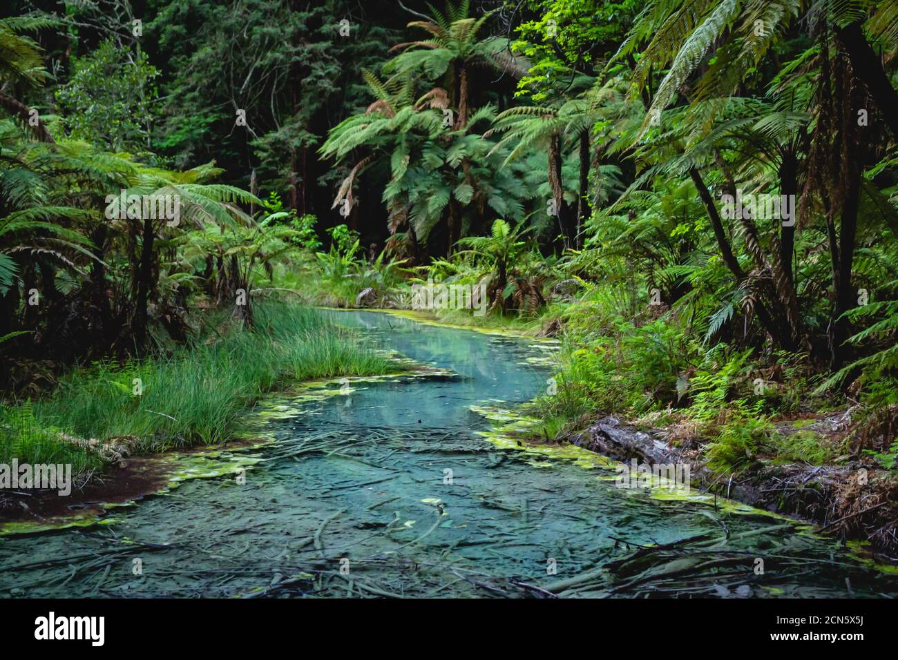 Thermal pond hi-res stock photography and images - Alamy