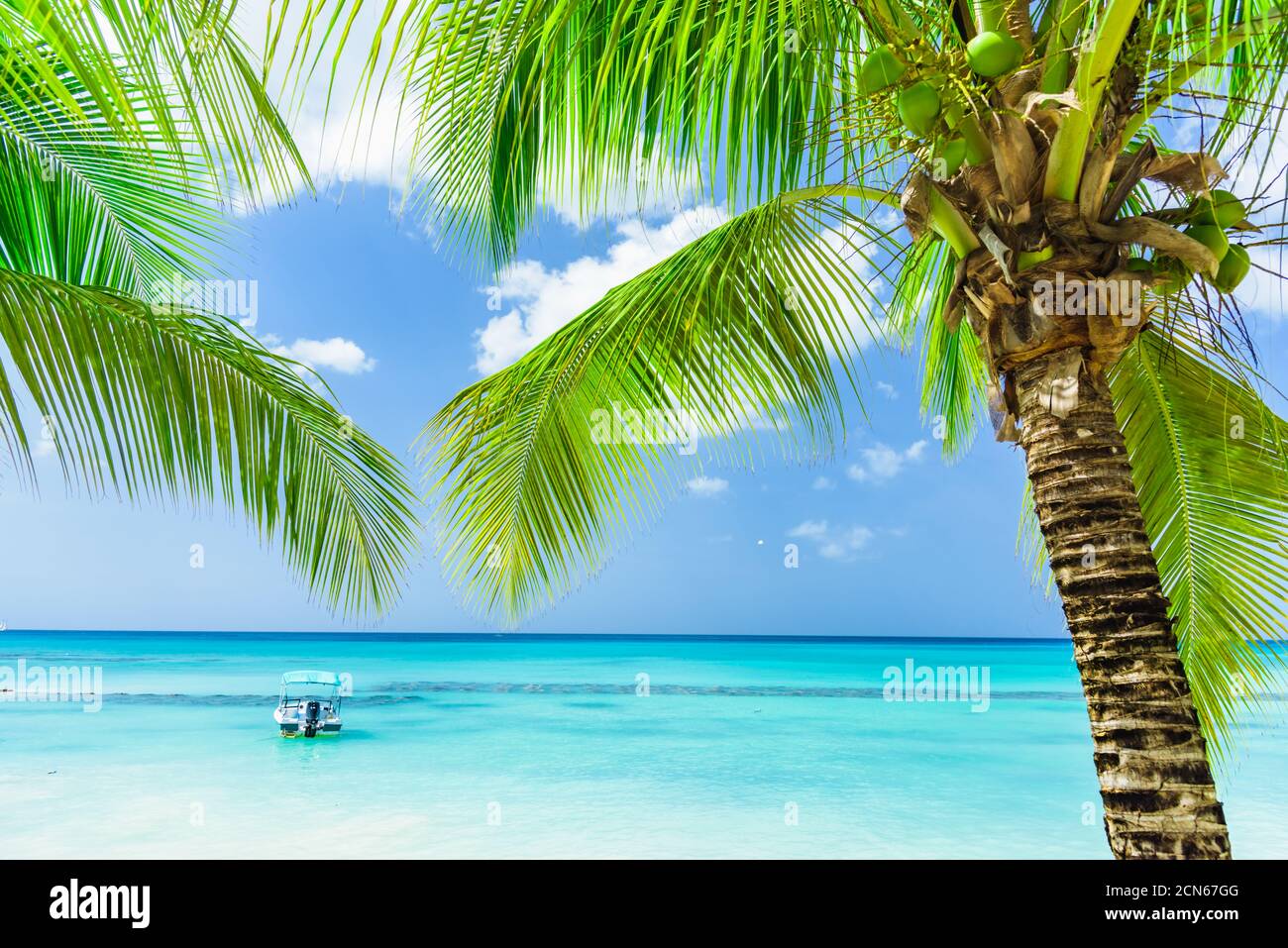 Palm Ocean Sky Stock Photo - Alamy