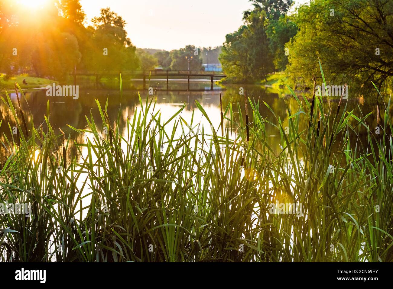 colorful dawn early morning over a body of water Stock Photo - Alamy