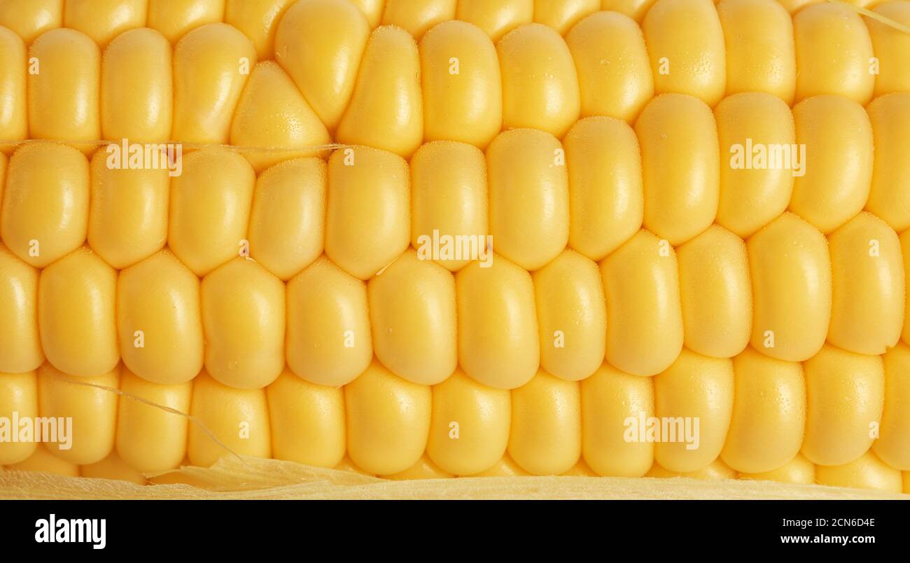 yellow corn cob texture, full frame Stock Photo - Alamy