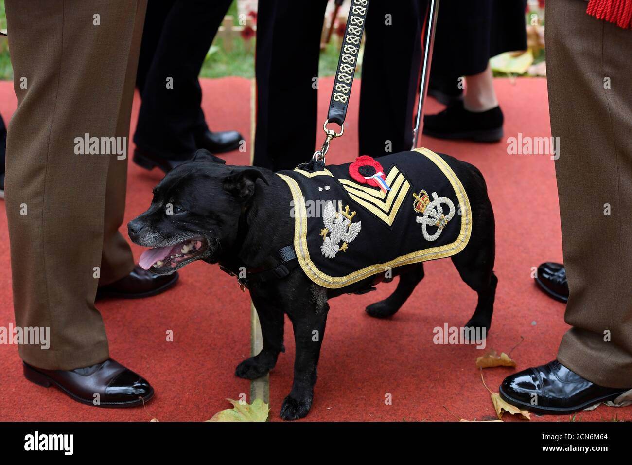 Military mascot hi-res stock photography and images - Alamy