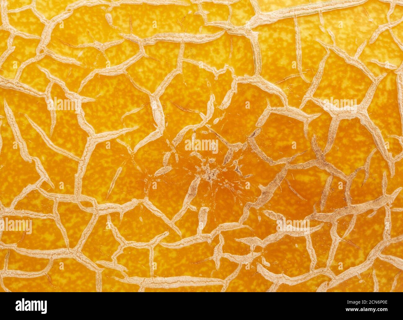 Melon texture hi-res stock photography and images - Alamy