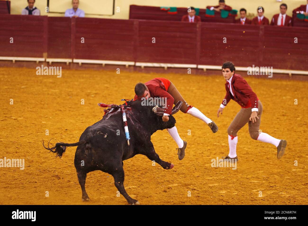 Forcados hi-res stock photography and images - Alamy