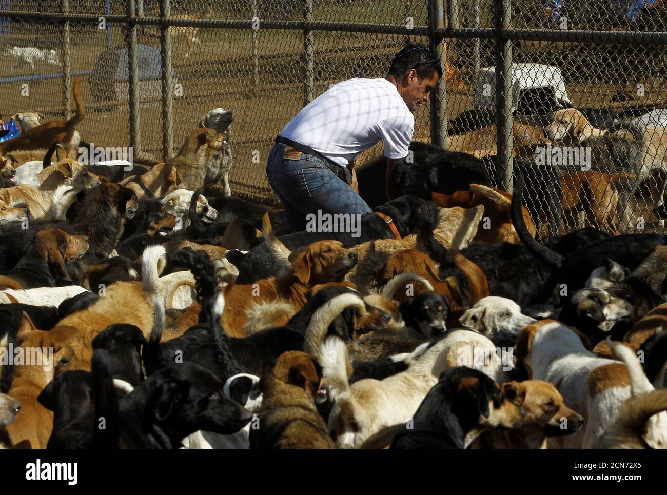 Territorio central hi-res stock photography and images - Alamy