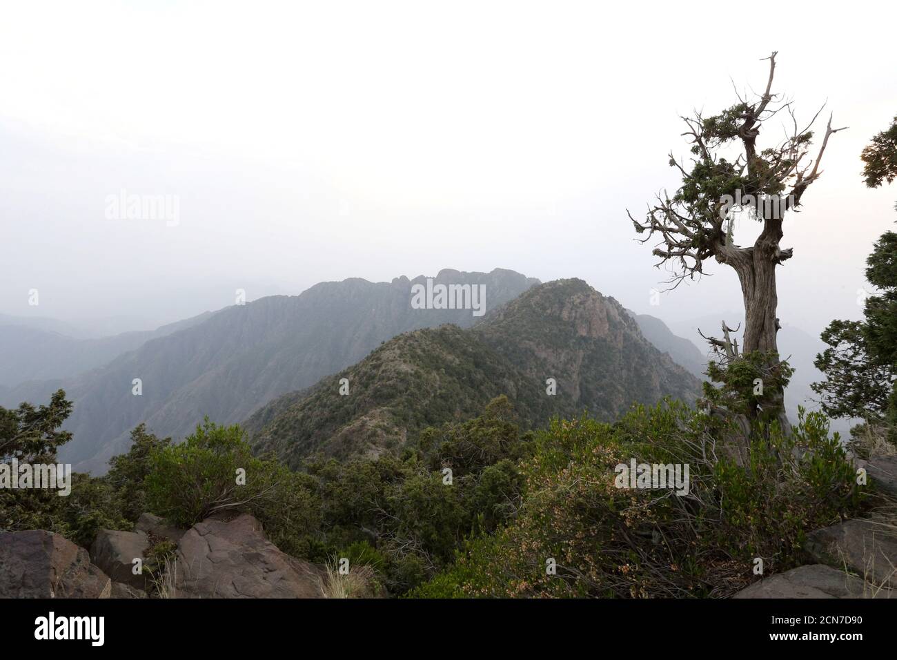 Al souda saudi arabia hi-res stock photography and images - Alamy