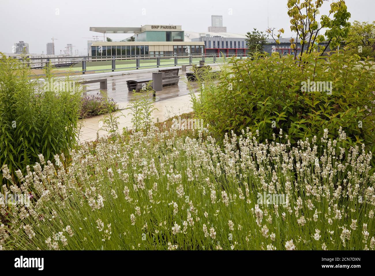 Terrace garden germany hi-res stock photography and images - Alamy