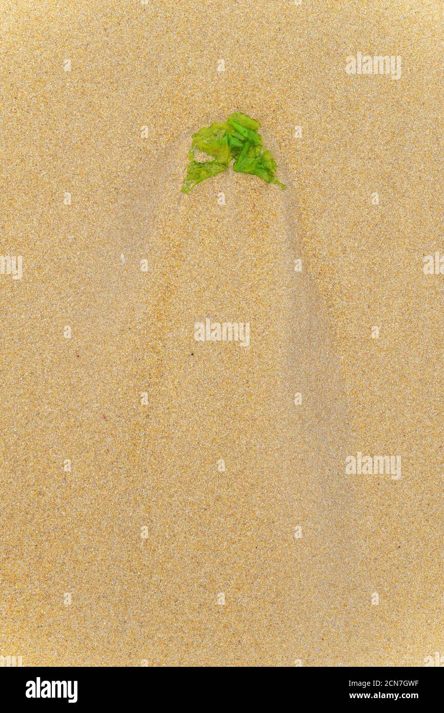 Natural Sand Art of the Beach atlantic ocean Stock Photo - Alamy