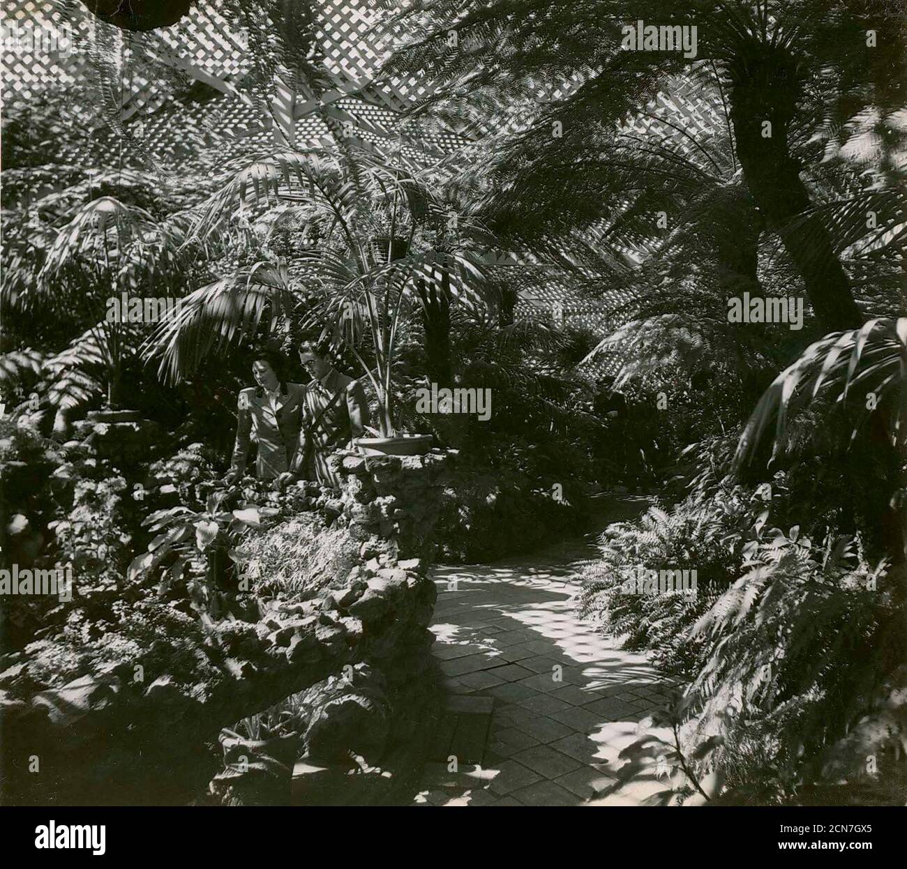 Bathurst machattie park hi-res stock photography and images - Alamy