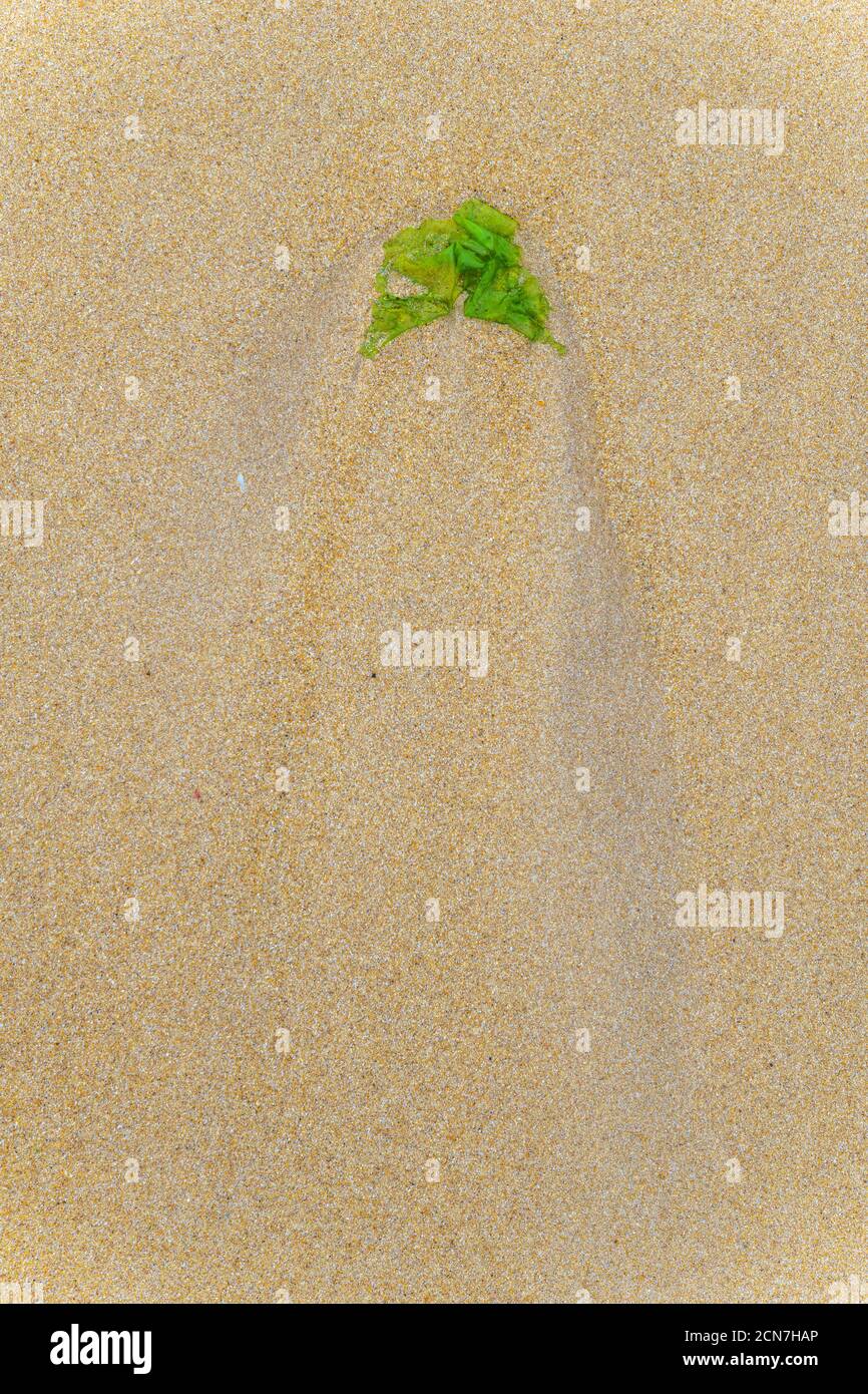 Natural Sand Art of the Beach atlantic ocean Stock Photo - Alamy