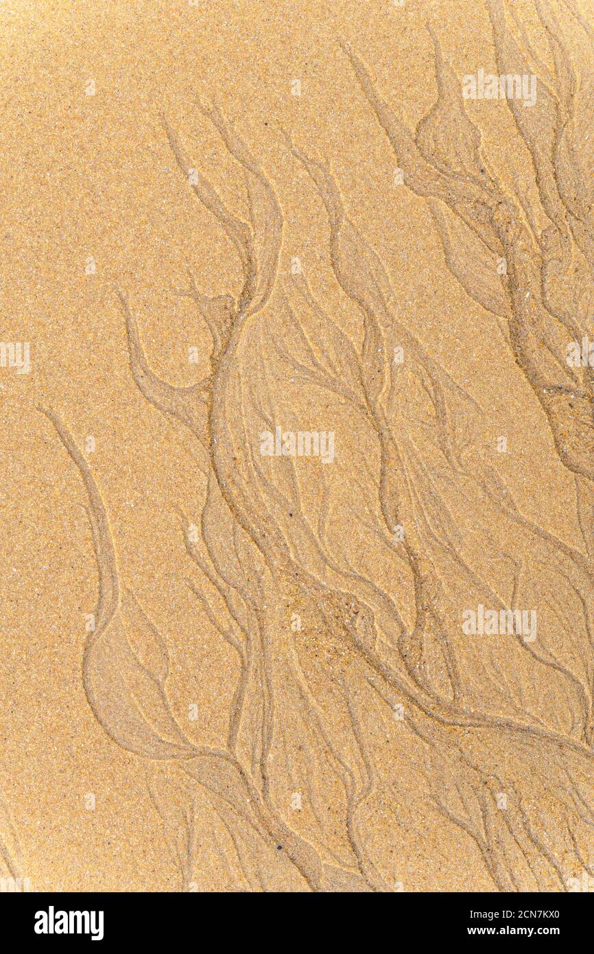 Natural Sand Art of the Beach atlantic ocean Stock Photo - Alamy