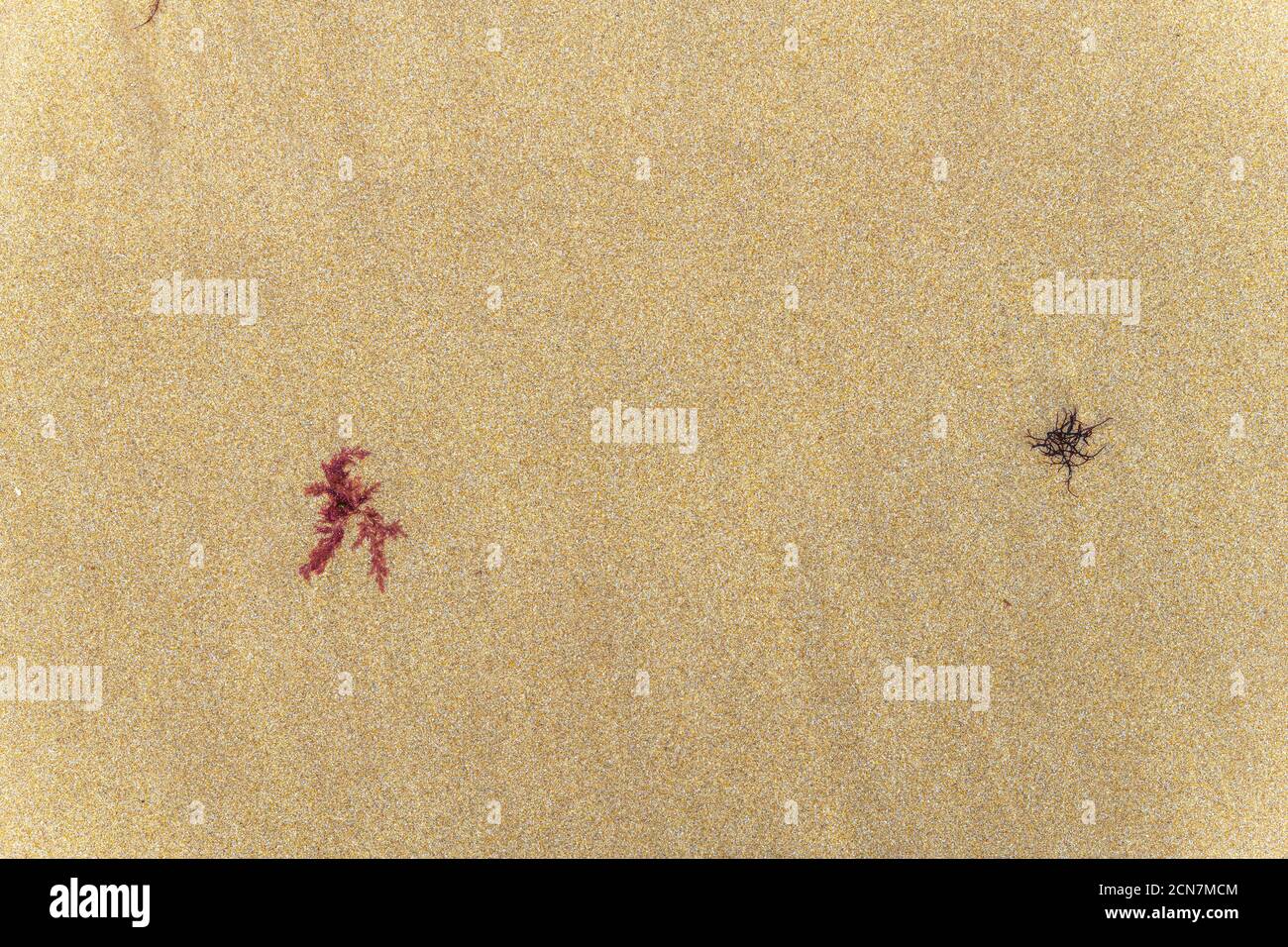 Natural Sand Art of the Beach atlantic ocean Stock Photo - Alamy