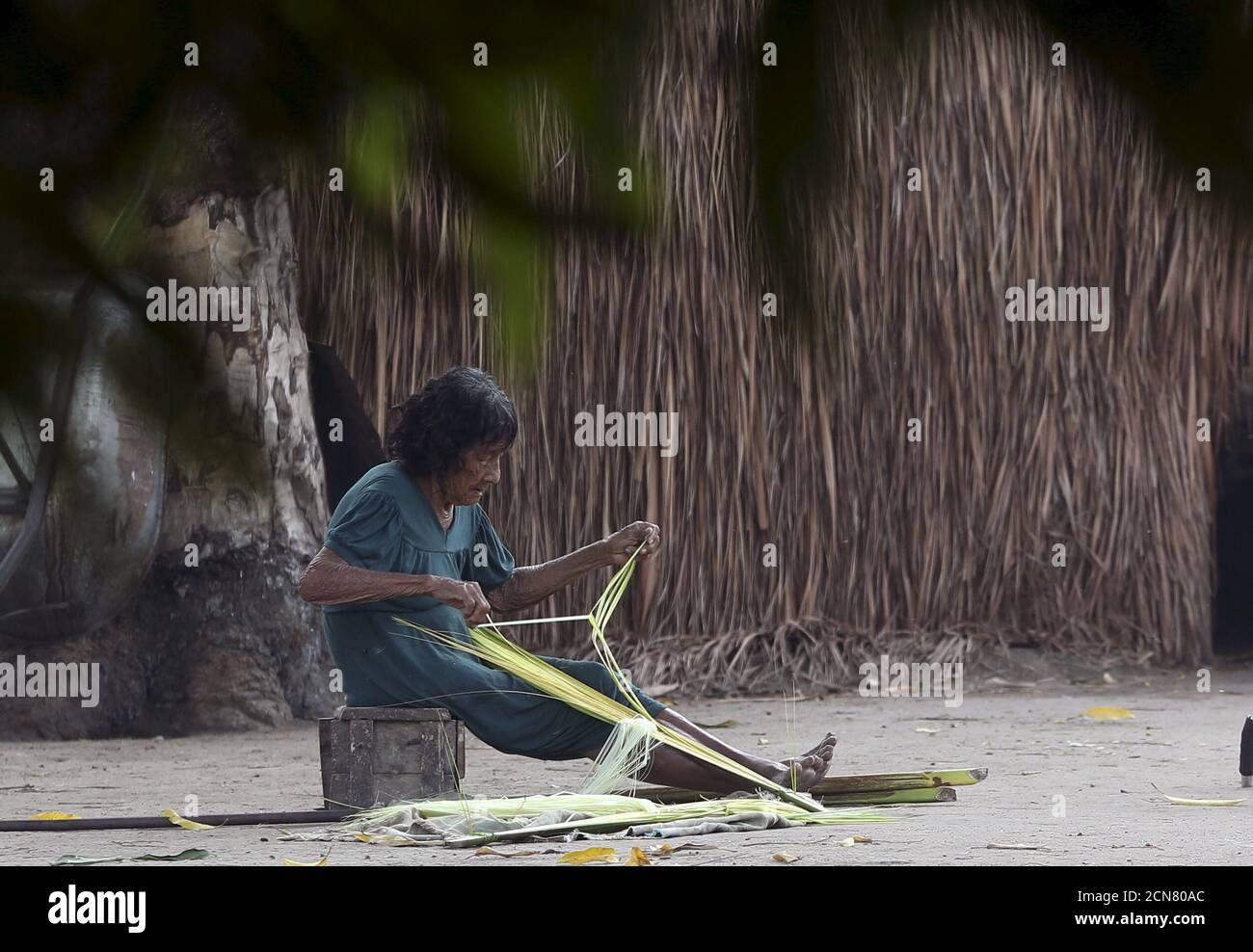 Kamayura High Resolution Stock Photography and Images - Alamy