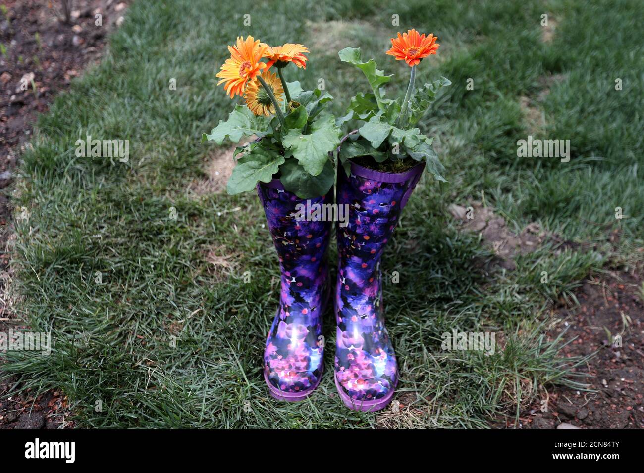 Planted flowers in boots hi-res stock photography and images - Alamy