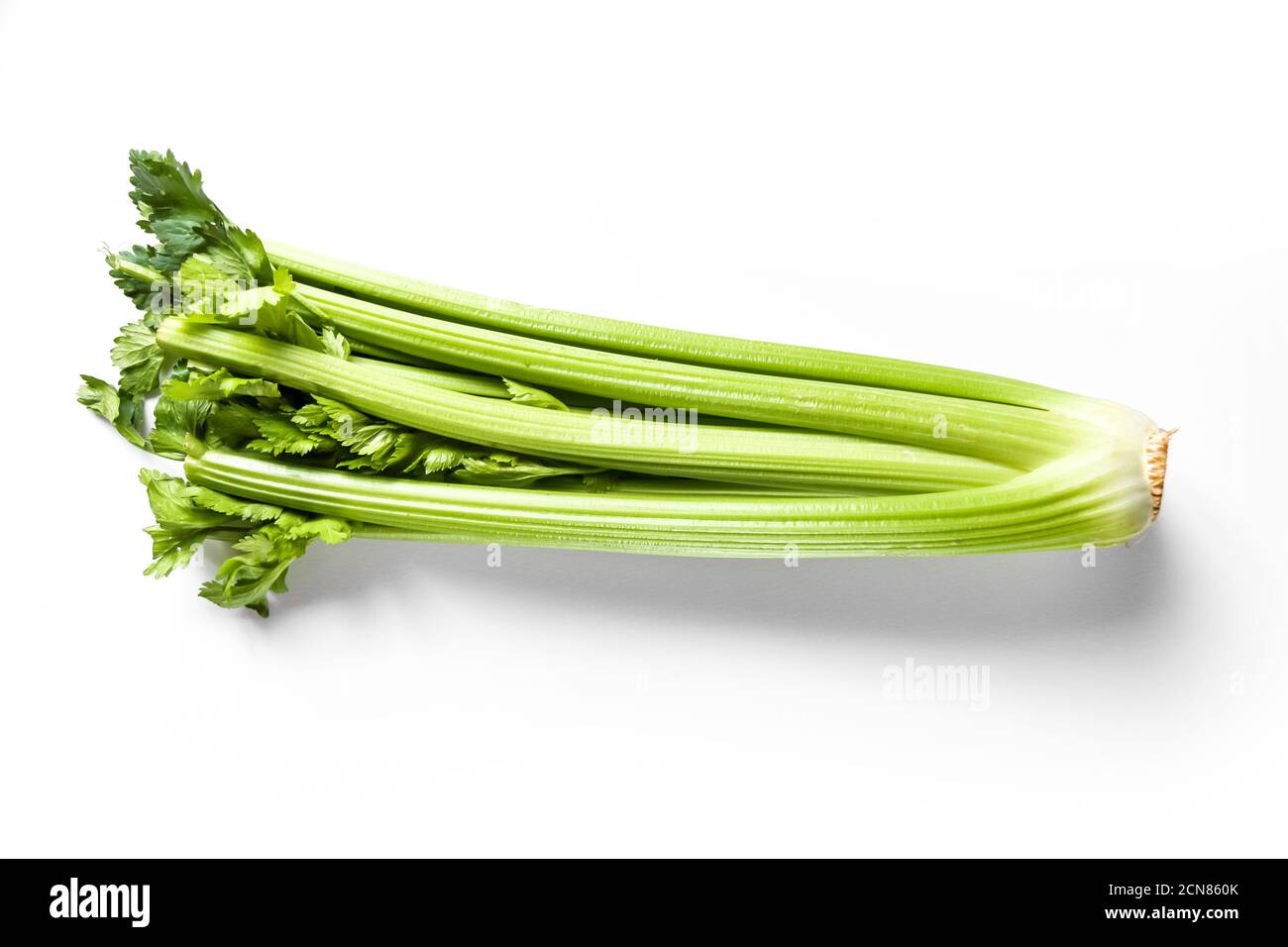 Celery branch bunch on hi-res stock photography and images - Alamy