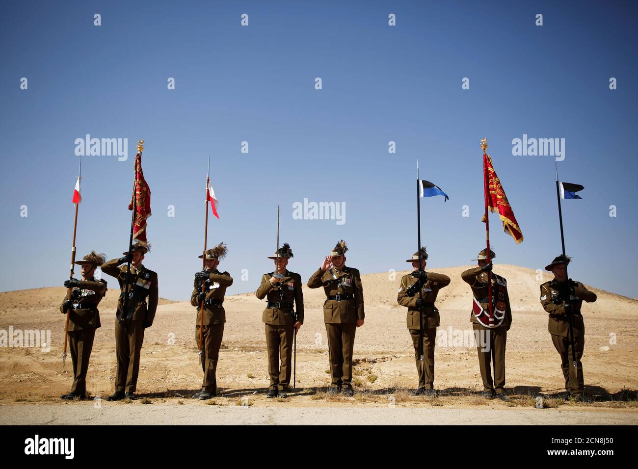 Australian Light Horse High Resolution Stock Photography and Images - Alamy