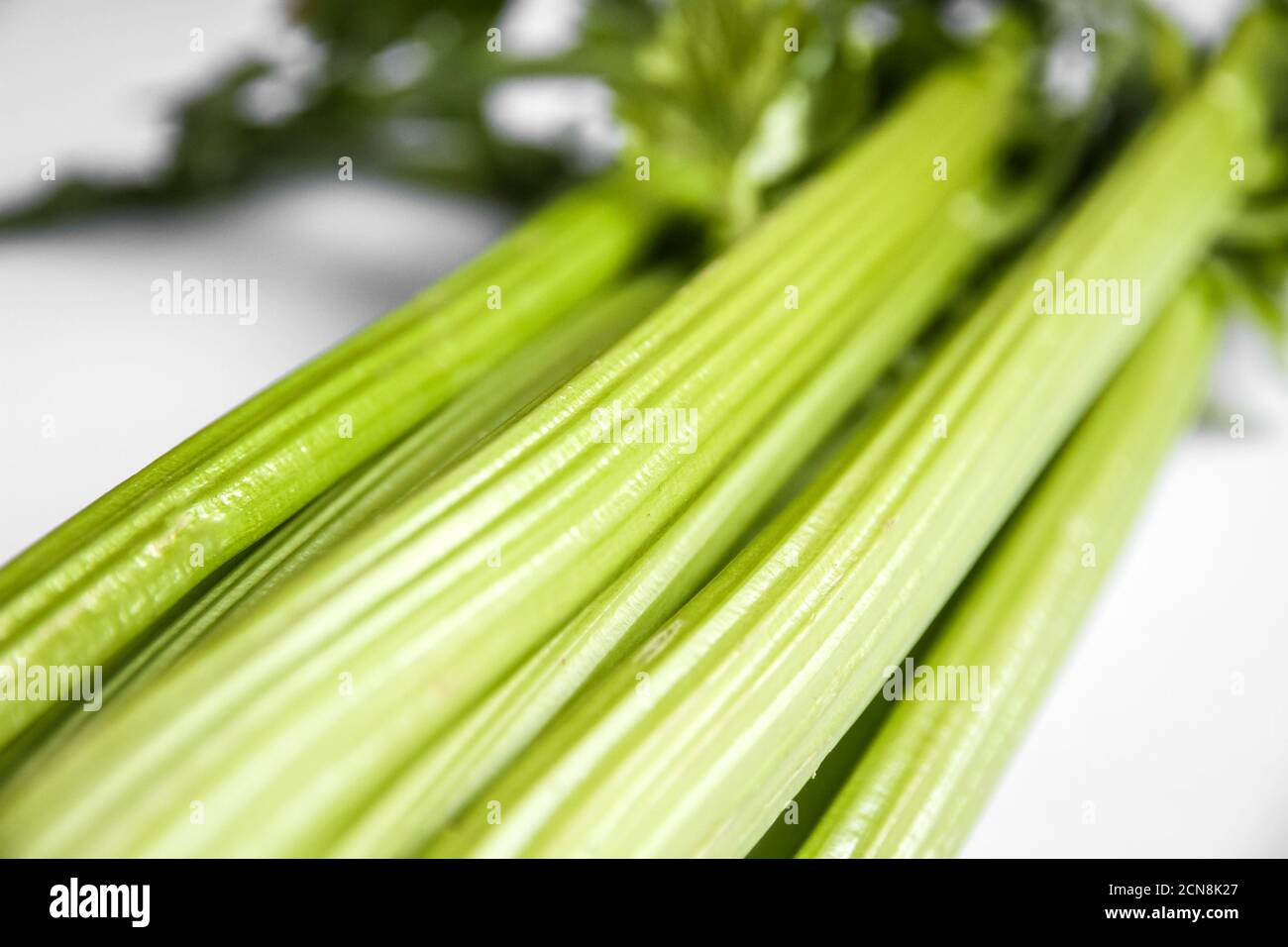 Celery branch bunch on hi-res stock photography and images - Alamy