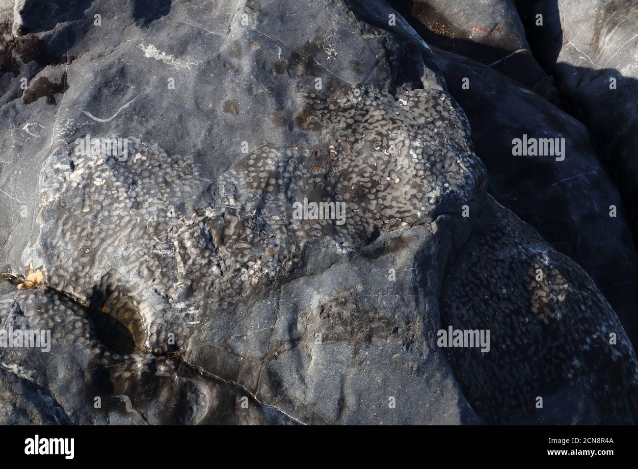 Sectioned off area hi-res stock photography and images - Alamy