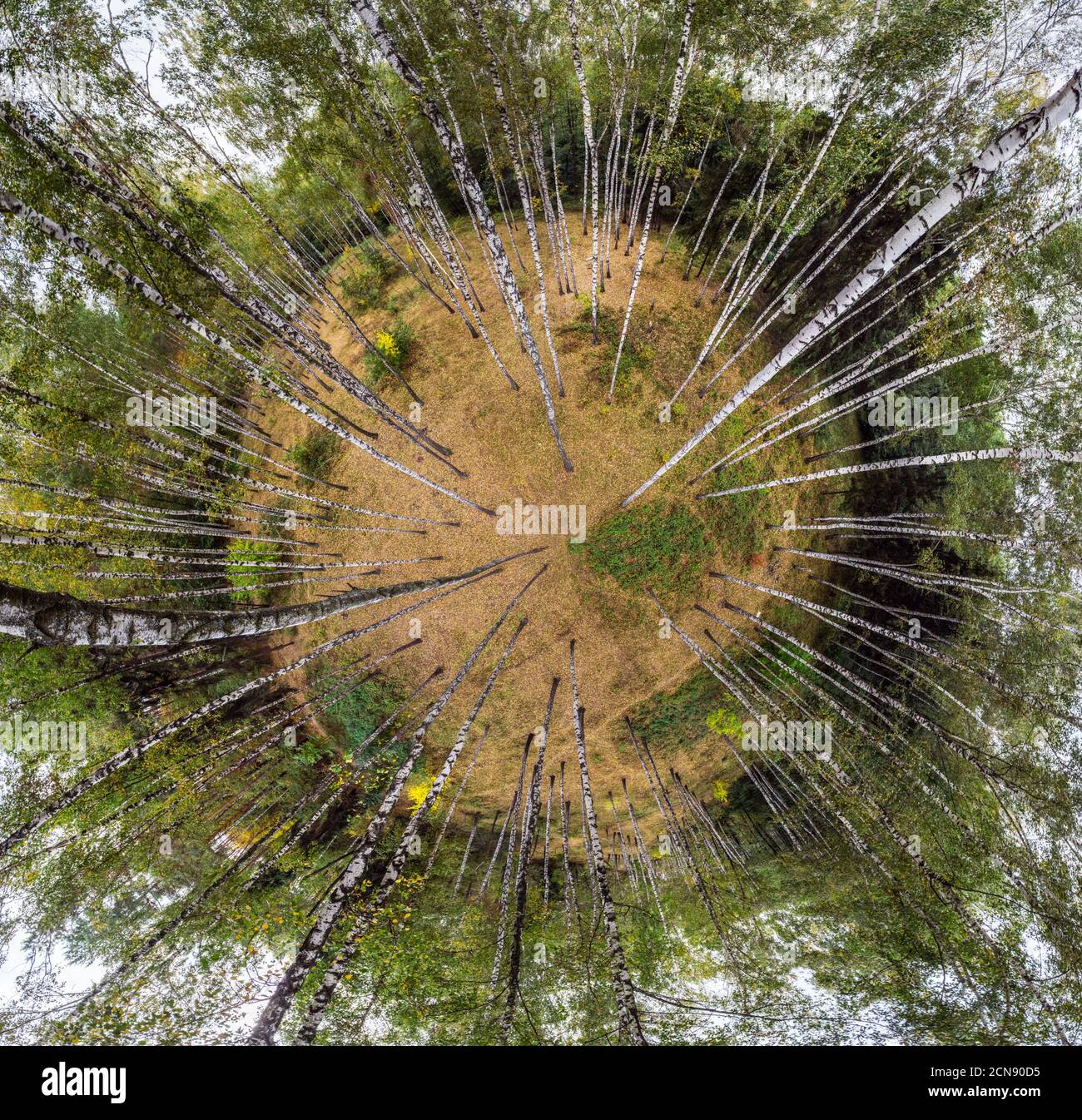 Spherical panoramic hi-res stock photography and images - Alamy