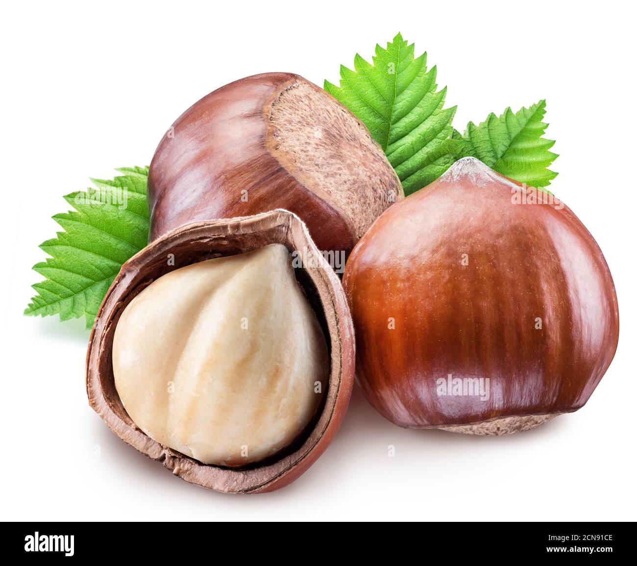 Hazelnuts with shell, hazel leaves and peeled nut isolated on a white ...