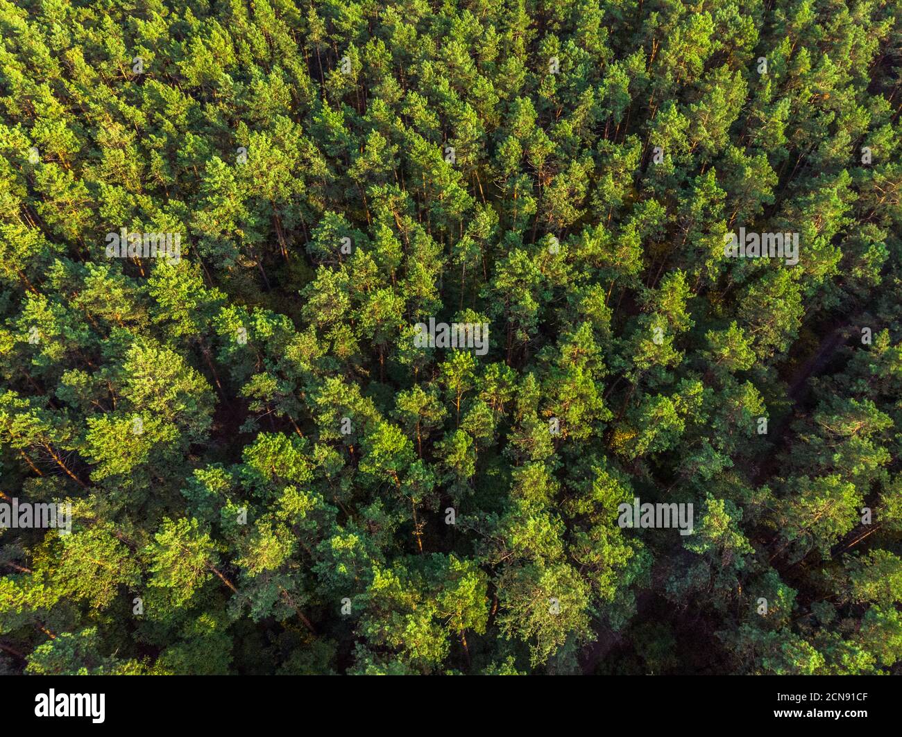 Evergreen aerial hi-res stock photography and images - Alamy