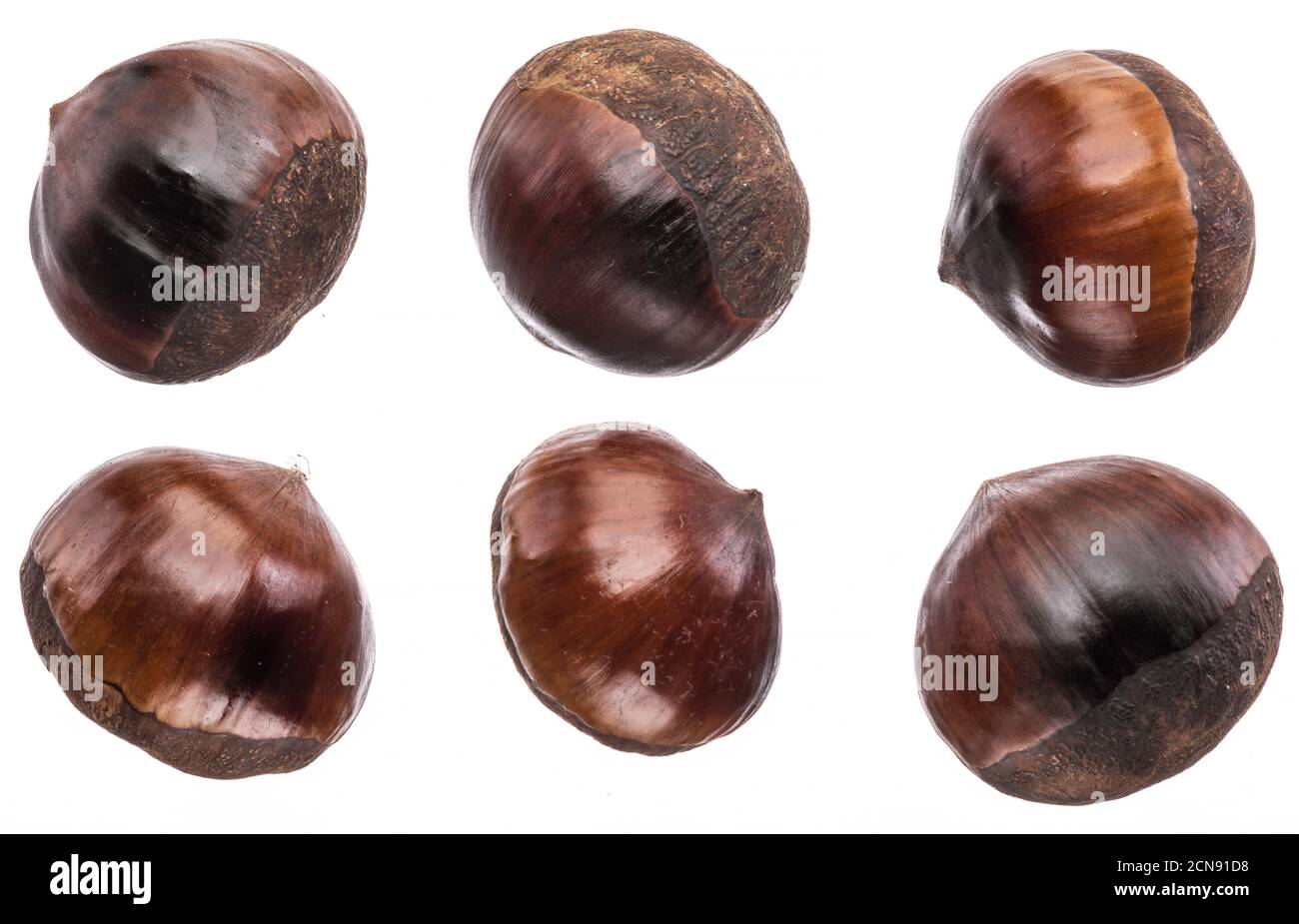 Set of roasted edible chestnut fruits isolated on white background ...