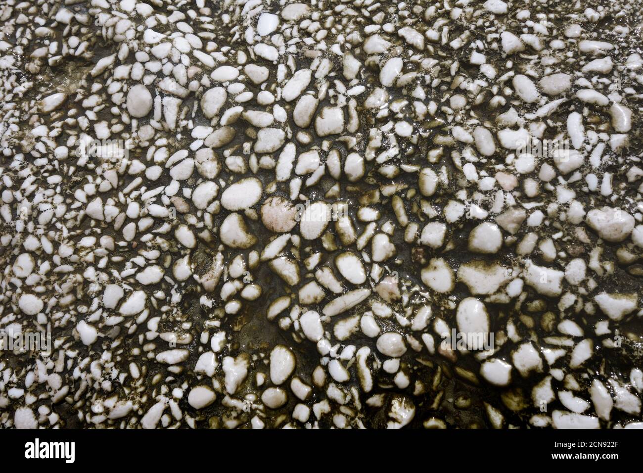 Aggregated hi-res stock photography and images - Alamy