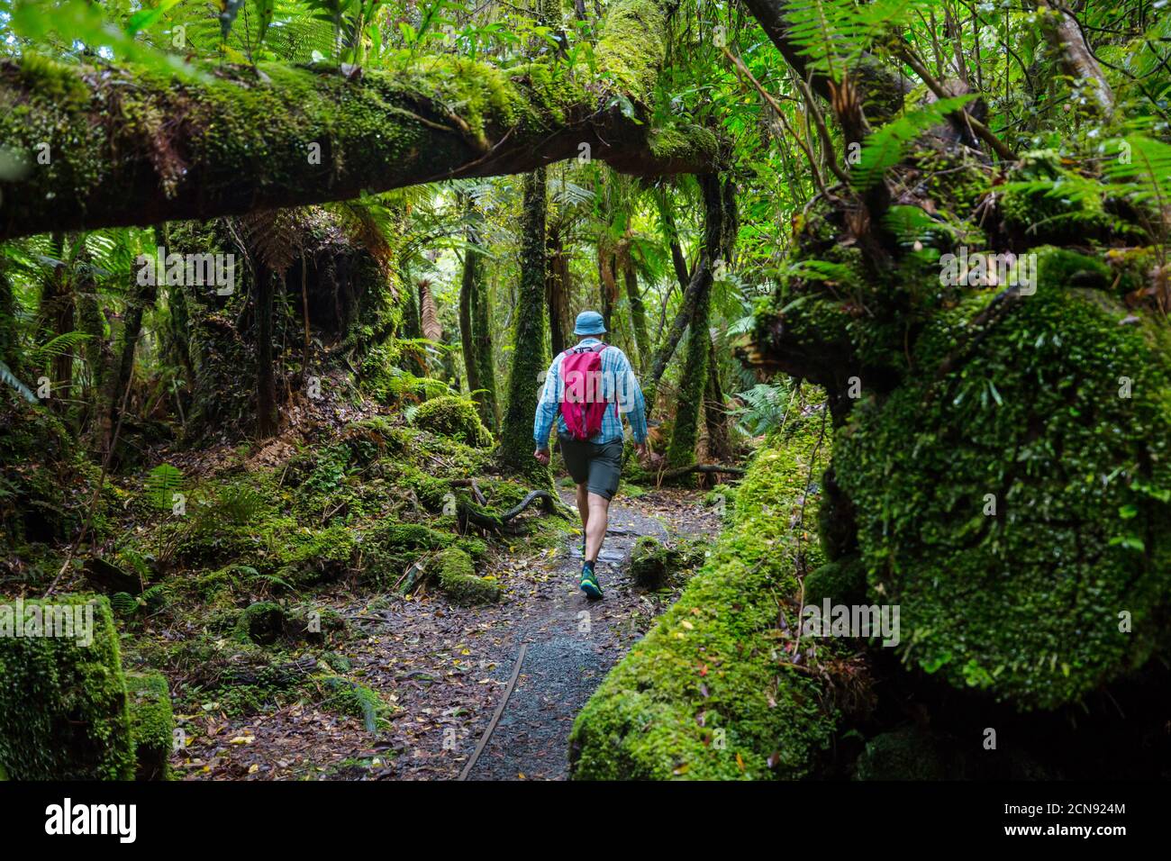 Hiking and tramping in New Zealand. Travel and adventure concept Stock ...