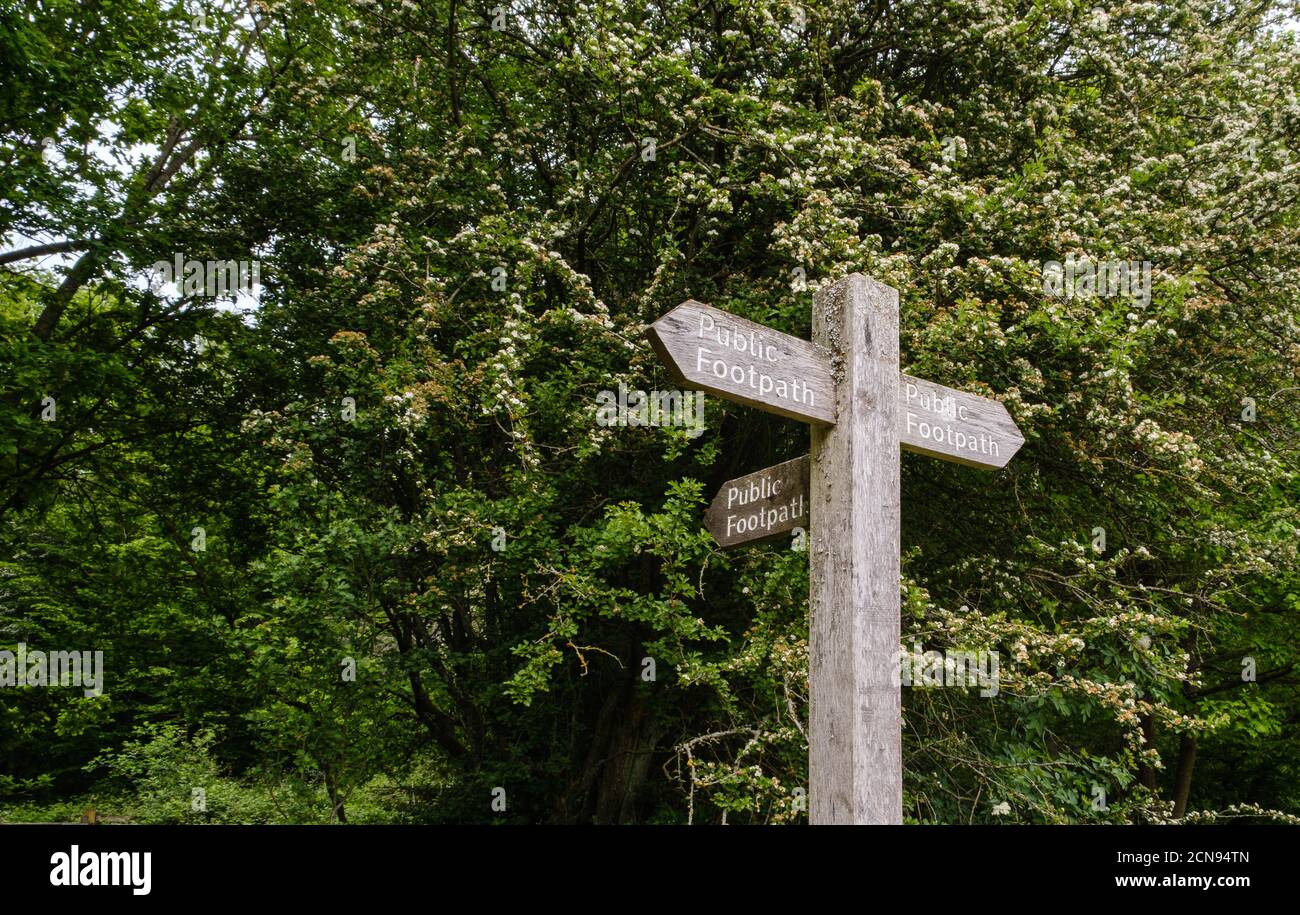 Three directions hi-res stock photography and images - Alamy