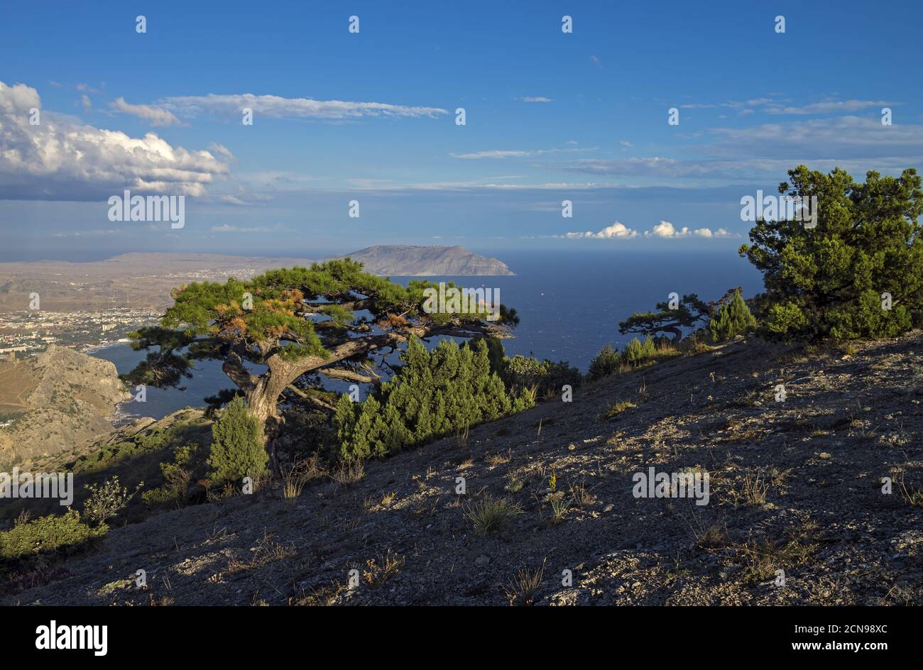 Side view top view hi-res stock photography and images - Alamy