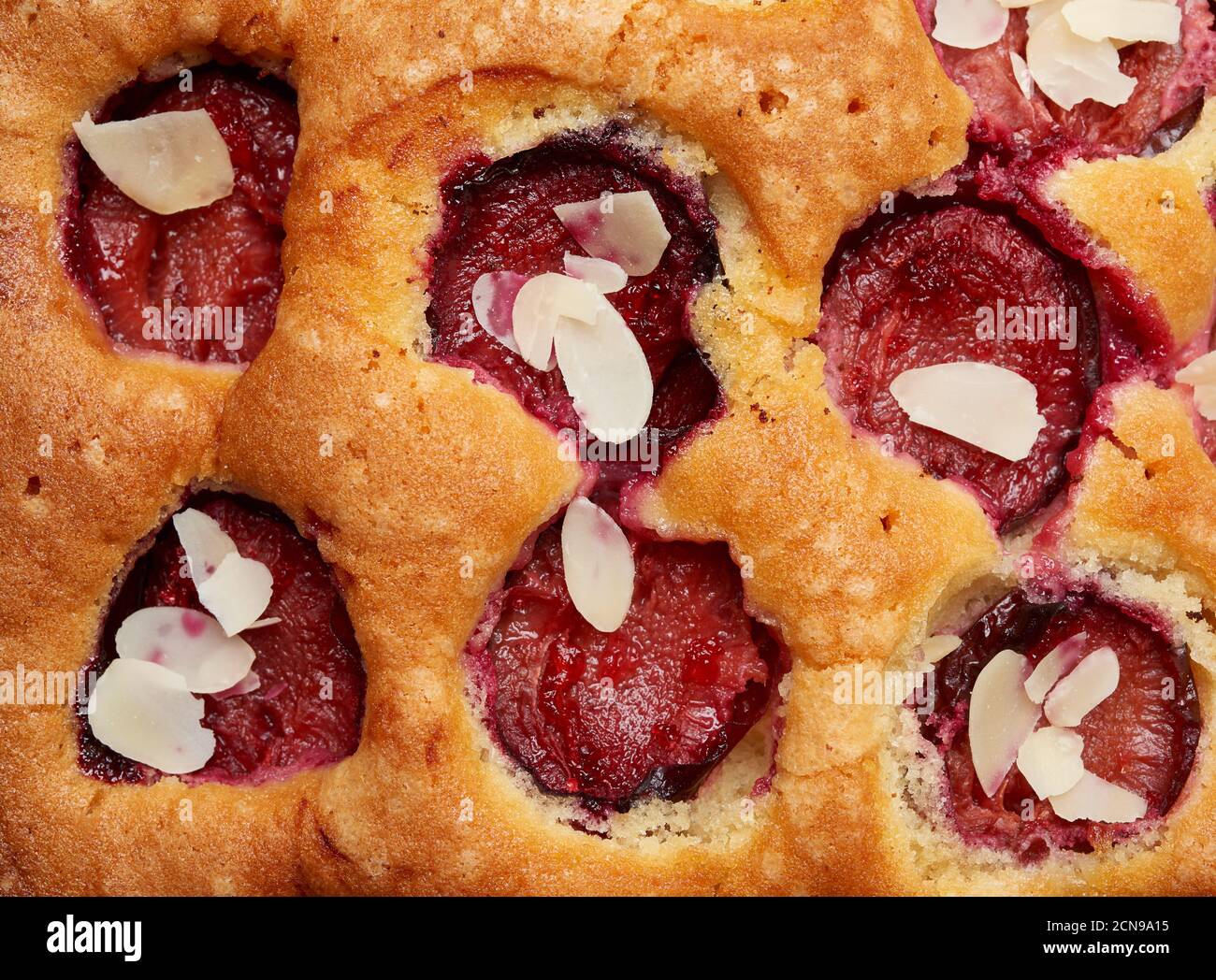texture of baked sponge cake with plums, full frame, delicious dessert ...
