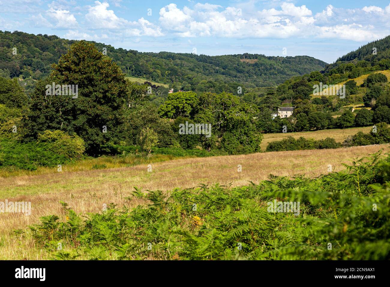 Dartmoor, Agricultural Field, Devon, Lustleigh, Blue, Cloud - Sky ...