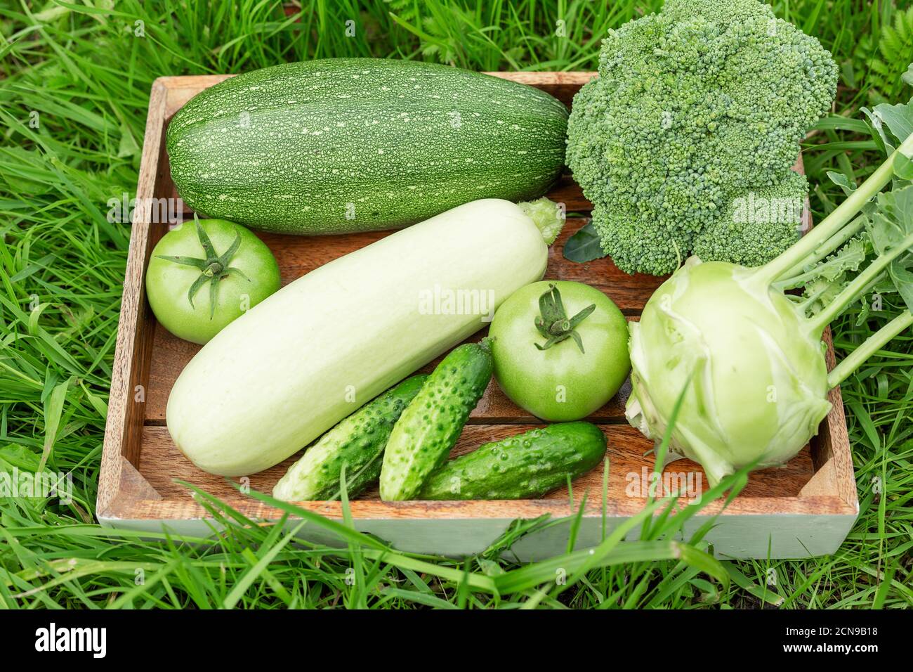 Fresh vegetables in the box on the green grass Stock Photo - Alamy