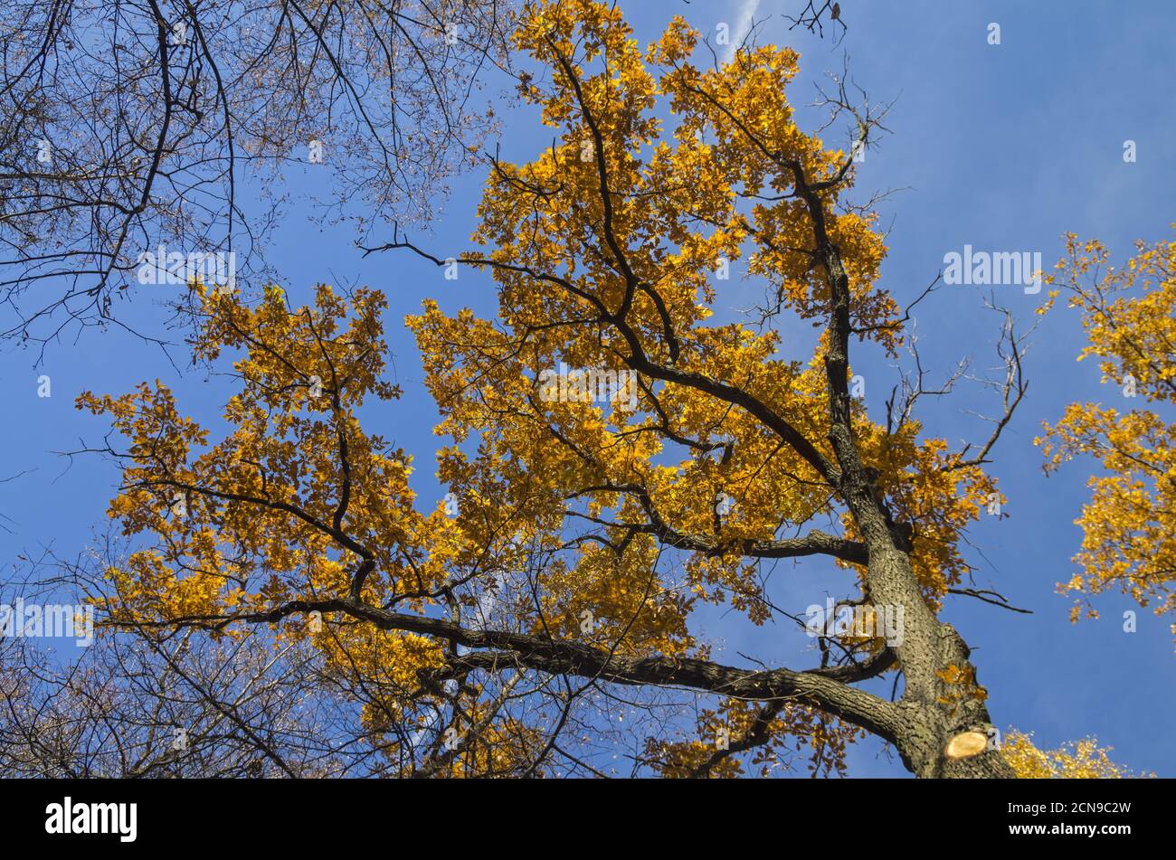 Blue october hi-res stock photography and images - Alamy