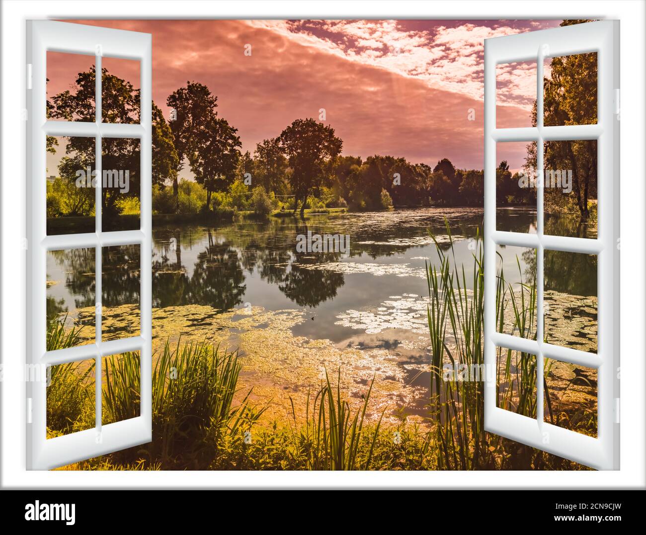 views of the pond Stock Photo - Alamy
