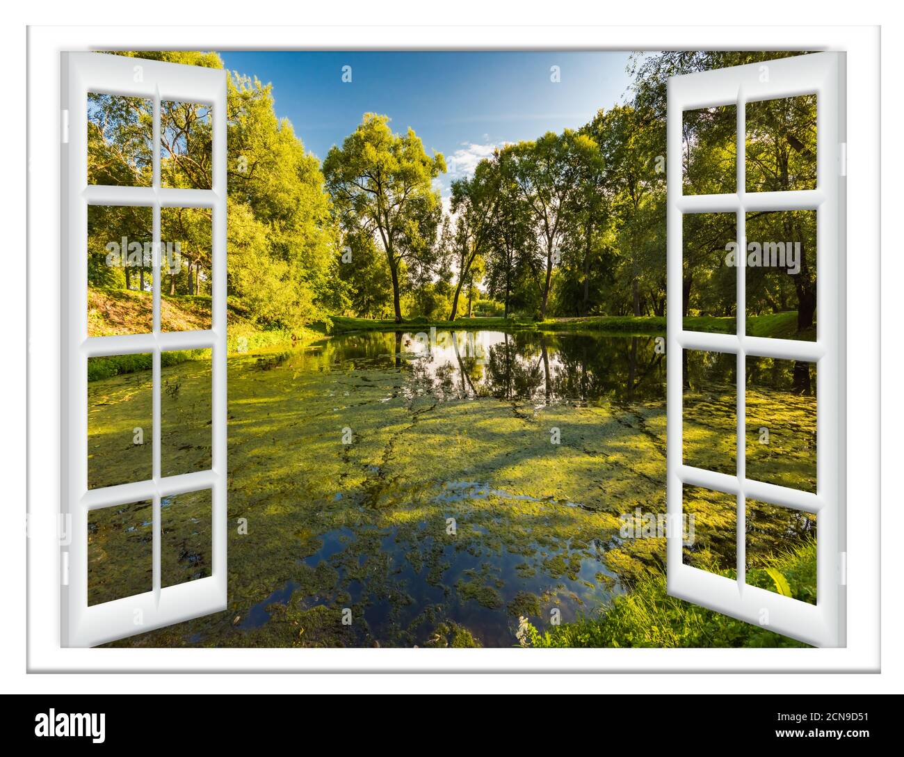 views of the pond Stock Photo - Alamy