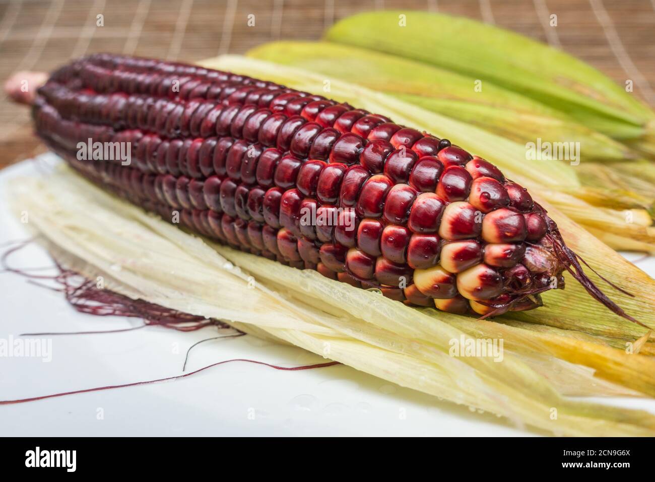 Siam ruby queen hi-res stock photography and images - Alamy