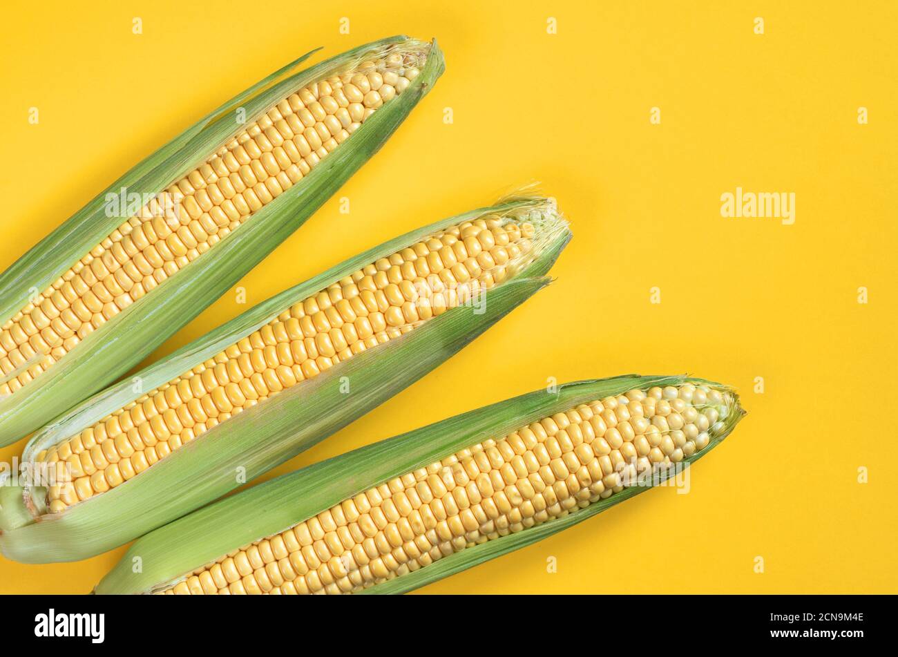 Three ripe sweet corn on yellow background, top view Stock Photo - Alamy