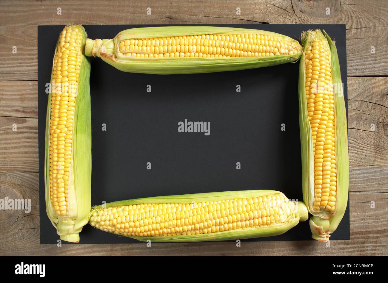 Ripe corn on table with black background in shape of frame, top view ...