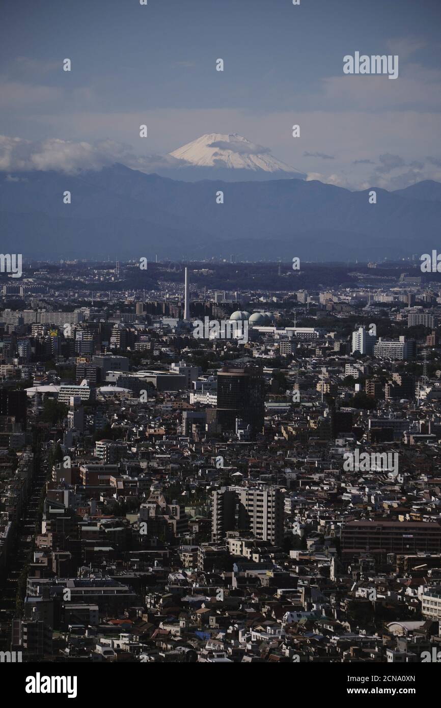 Mount Fuji over sunny Tokyo cityscape, Japan Stock Photo - Alamy